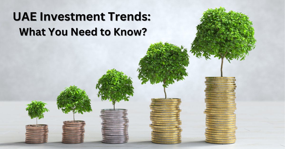 UAE Investment Trends: What You Need to Know?