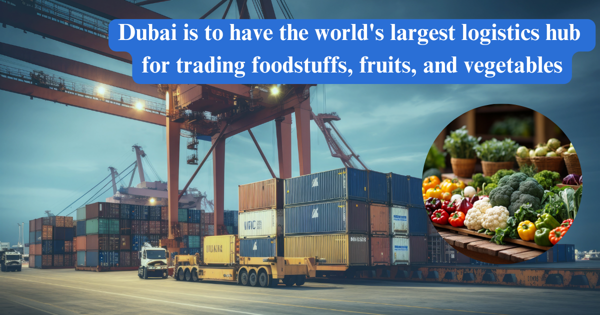 Dubai is to Have the World's Largest Logistics Hub